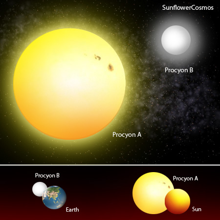 Procyon: Torch Bearer | We Are Star Stuff