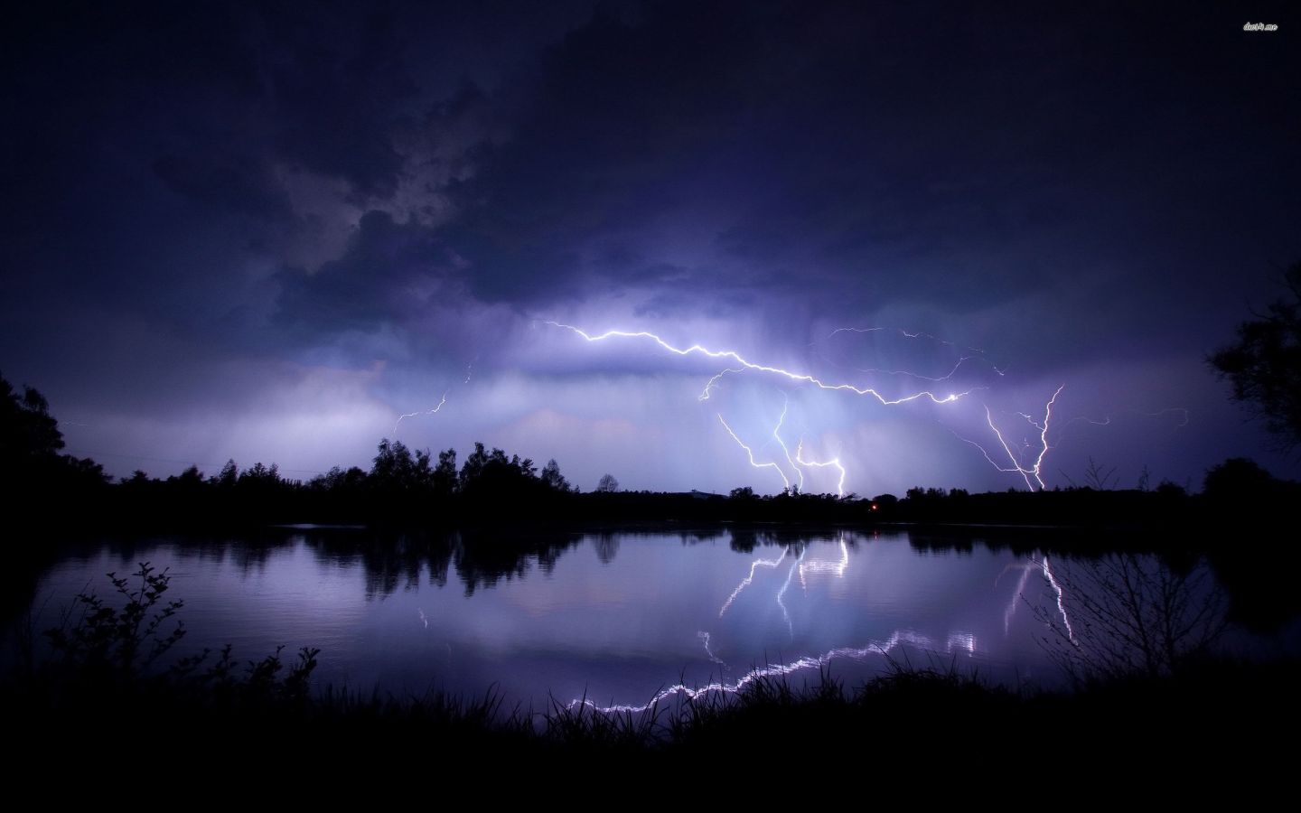 Thor’s Protection: the rowan | We Are Star Stuff